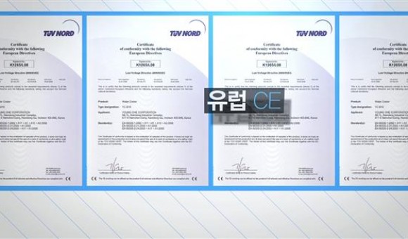 Company – YOUNGONE CORPORATION