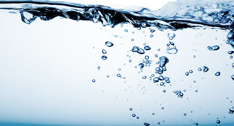 story – YOUNGONE CORPORATION